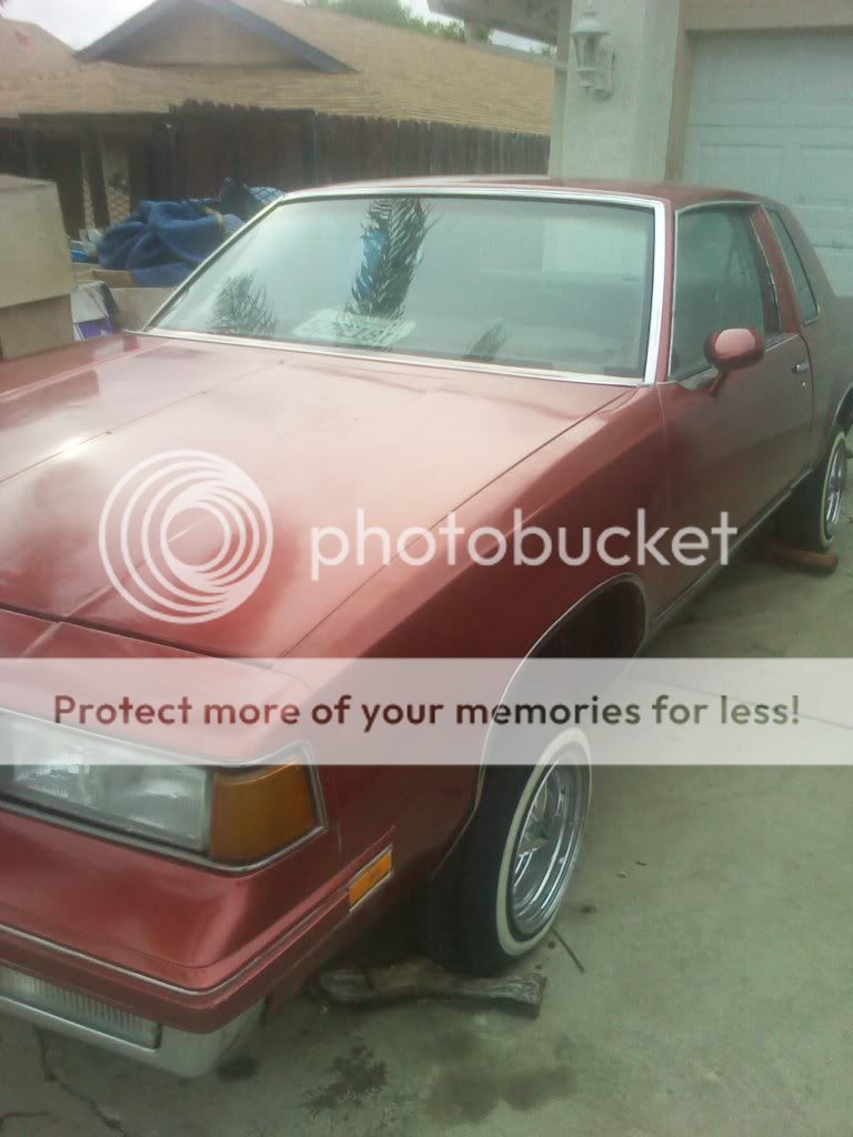 82 Cutlass supreme euro clip | LayItLow.com Lowrider Forums